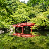 Wallpapers - ponds | Windows on Arm Ready Applications